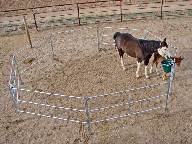 AZ Portable Panels Horse Corrals Phoenix AZ portable corral panels for sale